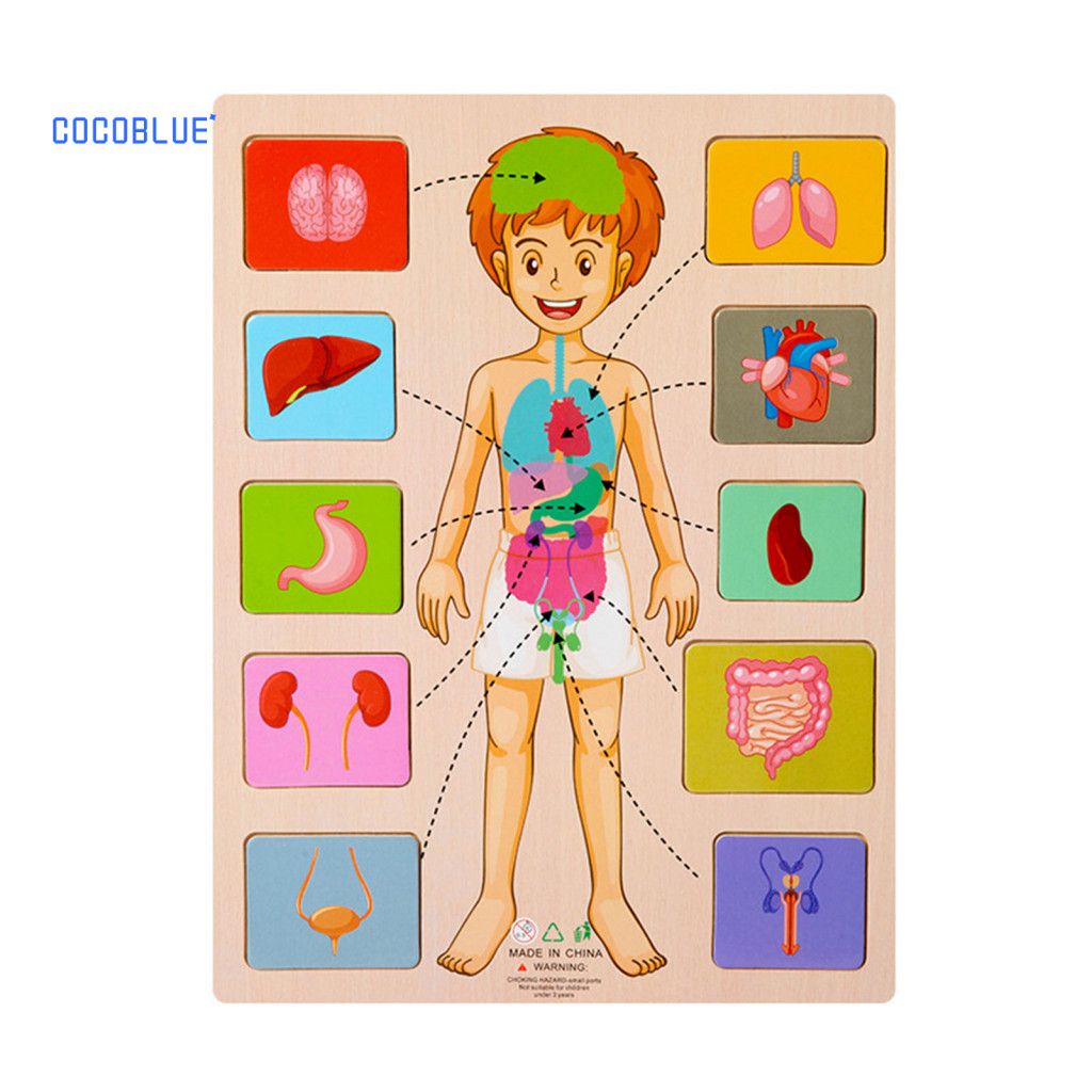 Cocoblue Body Learning Puzzle Wooden Body Puzzle Wooden Body Puzzle ...
