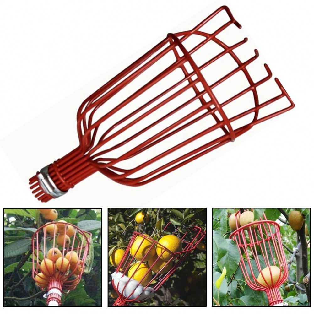 For Efficient Harvesting Tool Metal Fruit Picker with Compact Size 61 ...