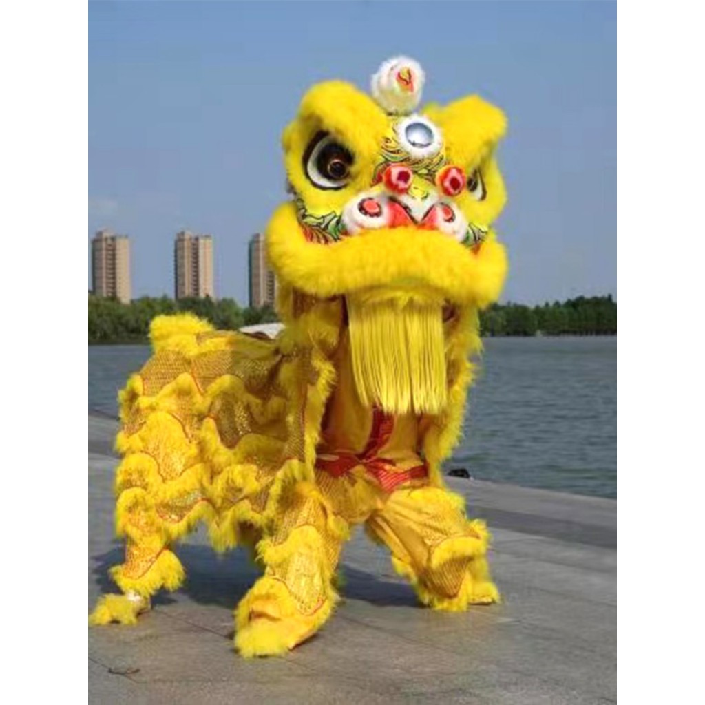 Lion Dance Lion Head Lion Dance Props Whole Set South Lion Dance Lion ...