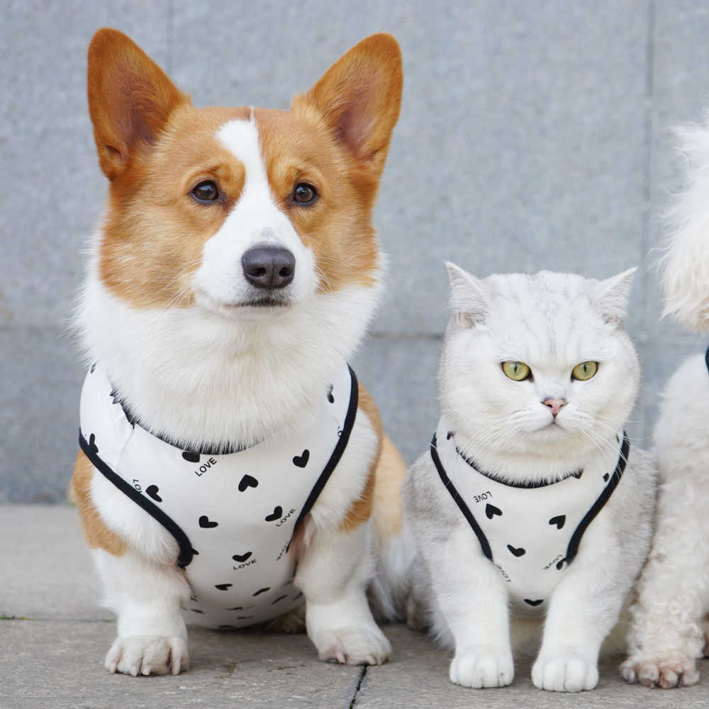 Thin PET Vest Anti-Lint Dog Clothes Large Dog Teddy Cat Corgi French ...