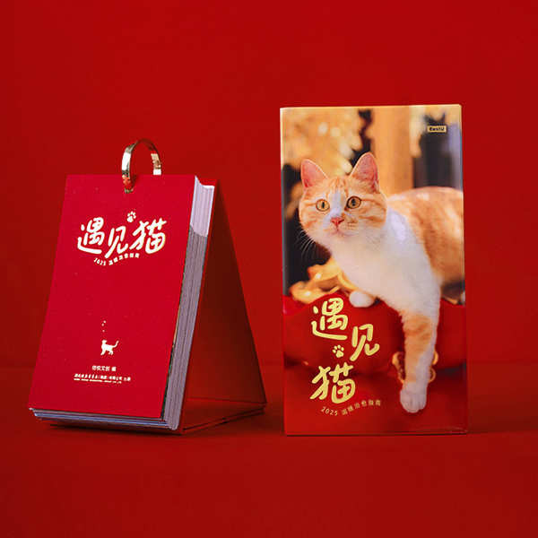 calendar 2024 calendar 2025 calendar Temui Kalendar Kucing 2025 ...