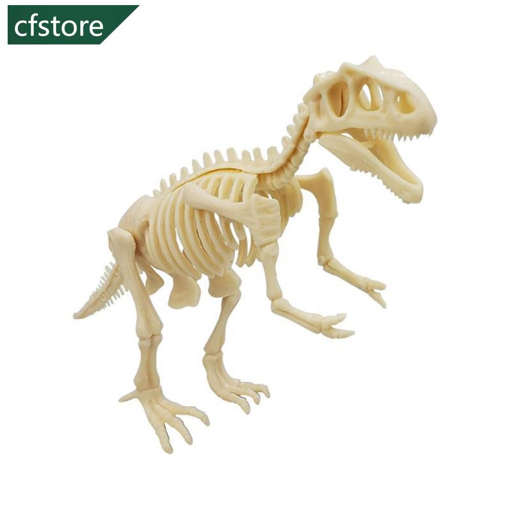 CFSTORE Simulation Dinosaur Fossil Plastic Skeleton Model Children's ...