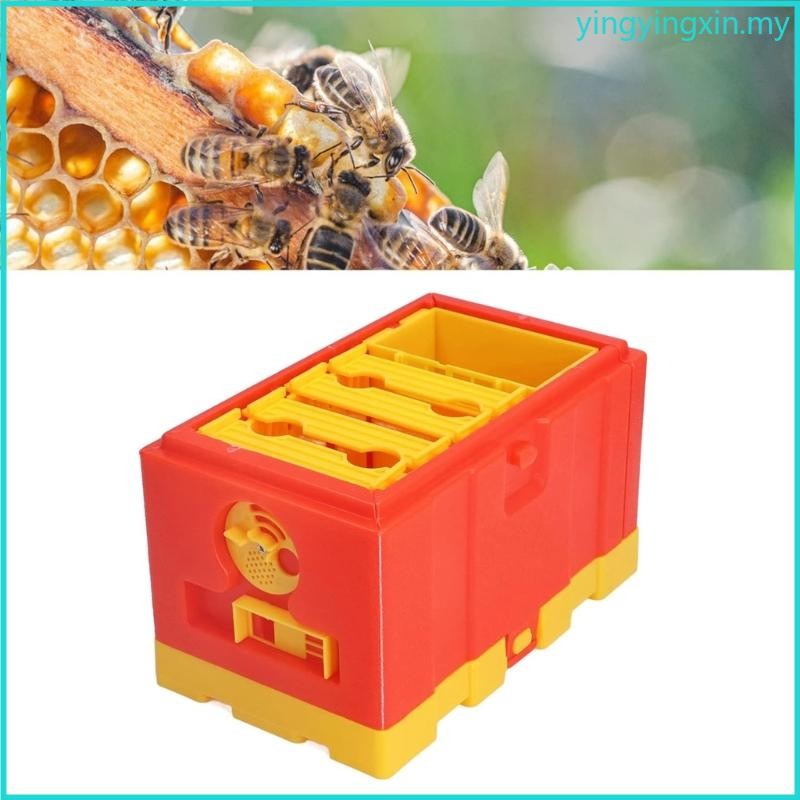 YIN Beekeeping Equipment Plastic Texture Beequeen Rearing Box Breeding Equipment | Shopee Malaysia