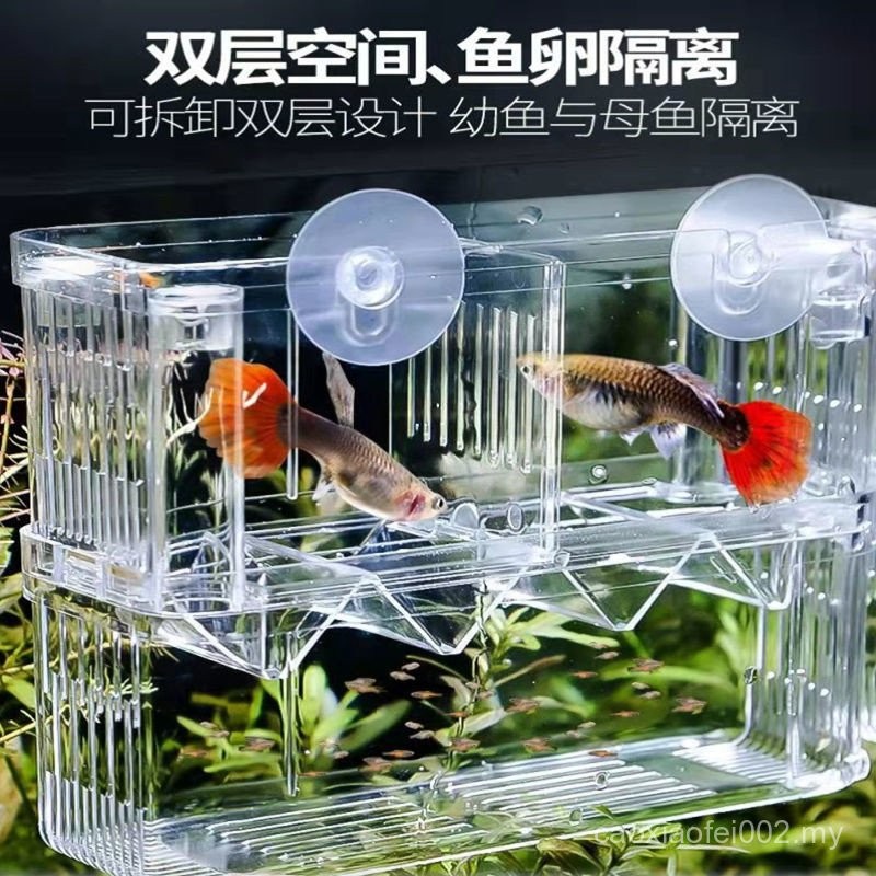Fish Tank Isolation Box Guppy Incubation Box Tropical Fish Juvenile ...