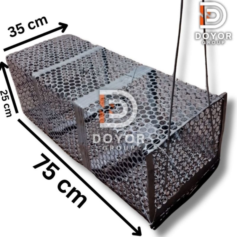 Luwak Trap / Werog Mouse Colony Trap / Mus4ng Trap / Super Jumbo Boss ...