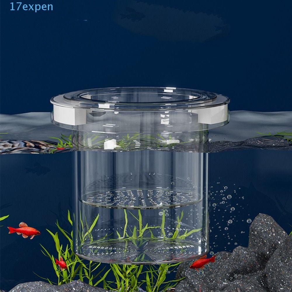 EXPEN Floating Fish Breeding Isolation Box, Acrylic Transparent ...