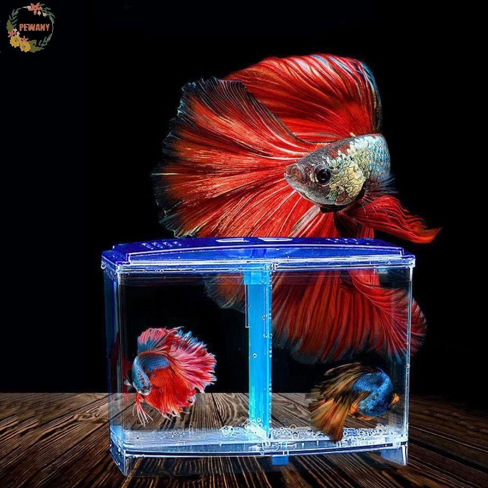 PEWANY Betta Fish Tank, Transparent Single/Double Grid Double-grid ...