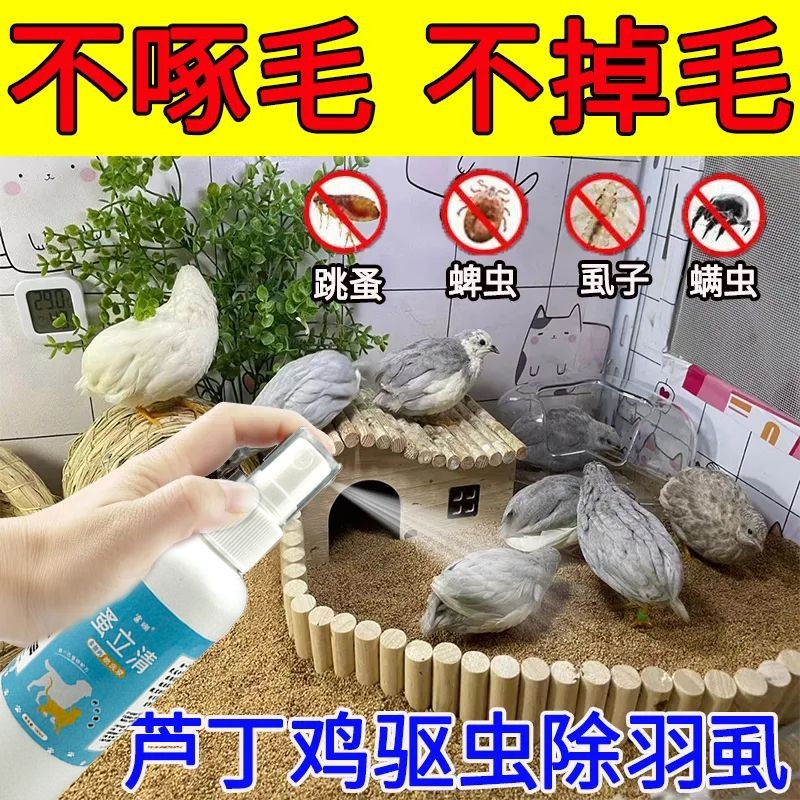 Chicken deworming spray Rudin chicken strengthening chicken lice squids ...