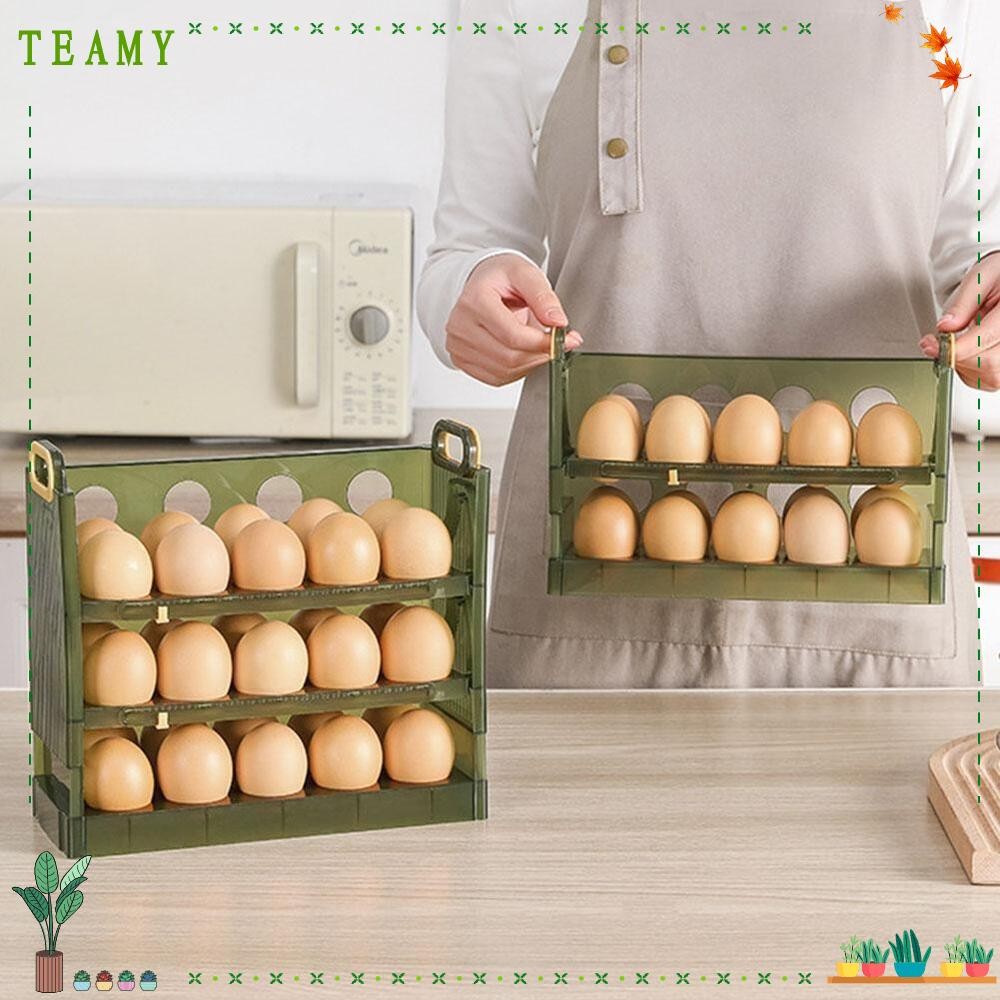 TEAMY Egg Storage 30/20 Grid Storage Rack Kitchen Storage Refrigerator ...
