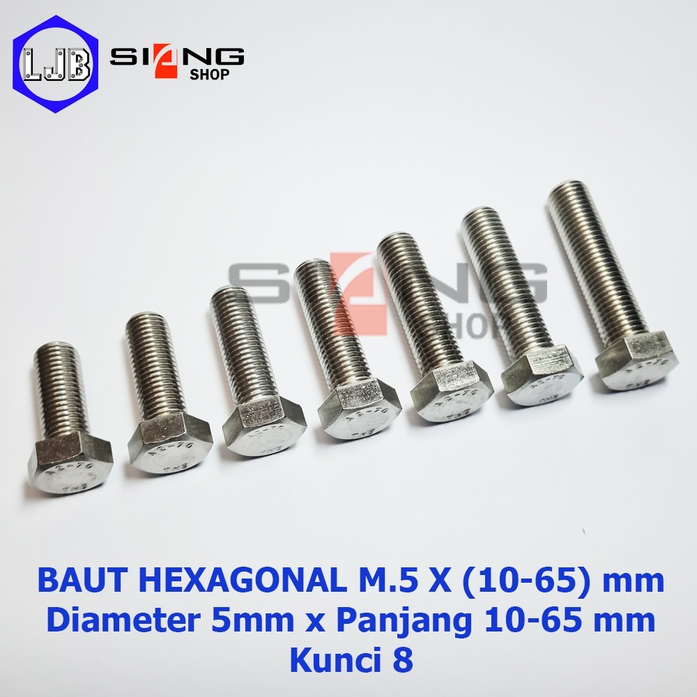 Hex Bolt M5 Stainless 304 THE A2-70 Length 10 to 65mm | Shopee Malaysia