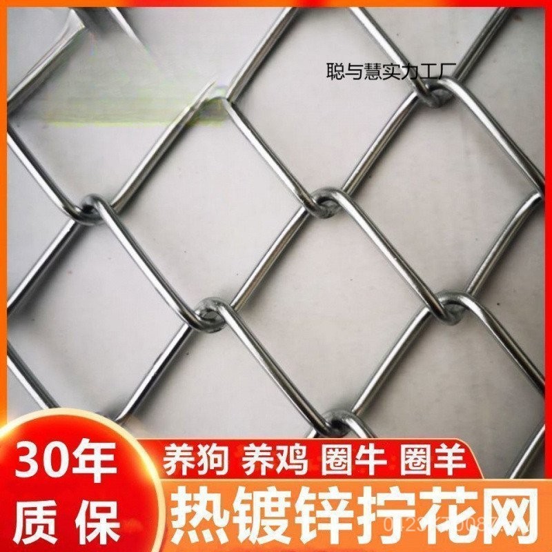Dog Raising Steel Wire Chicken Duck Beef Sheep Barbed Wire Mesh Diamond ...