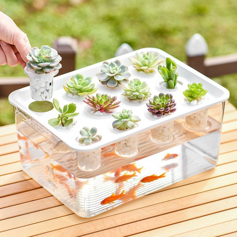 Ecological Bottle Micro Landscape Landscaping Betta Fish Tank Window ...