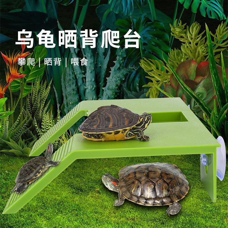 Double Ladder sunbathing turtle Platform Green Resting Basking Platform ...