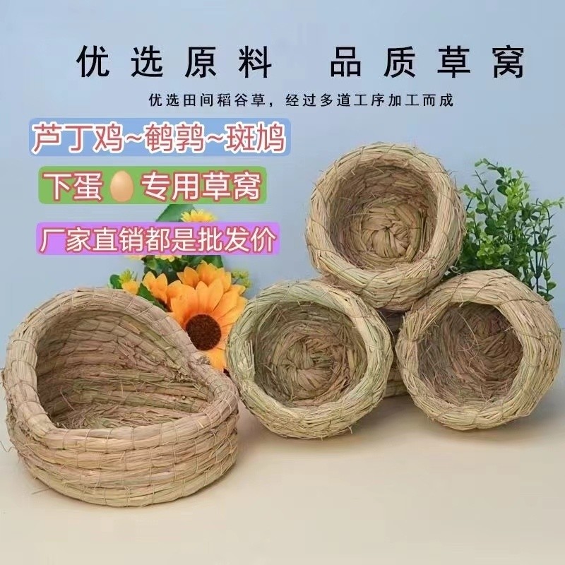 Luding Chicken Grass Nest Straw Breeding Special Influencer Chicken ...