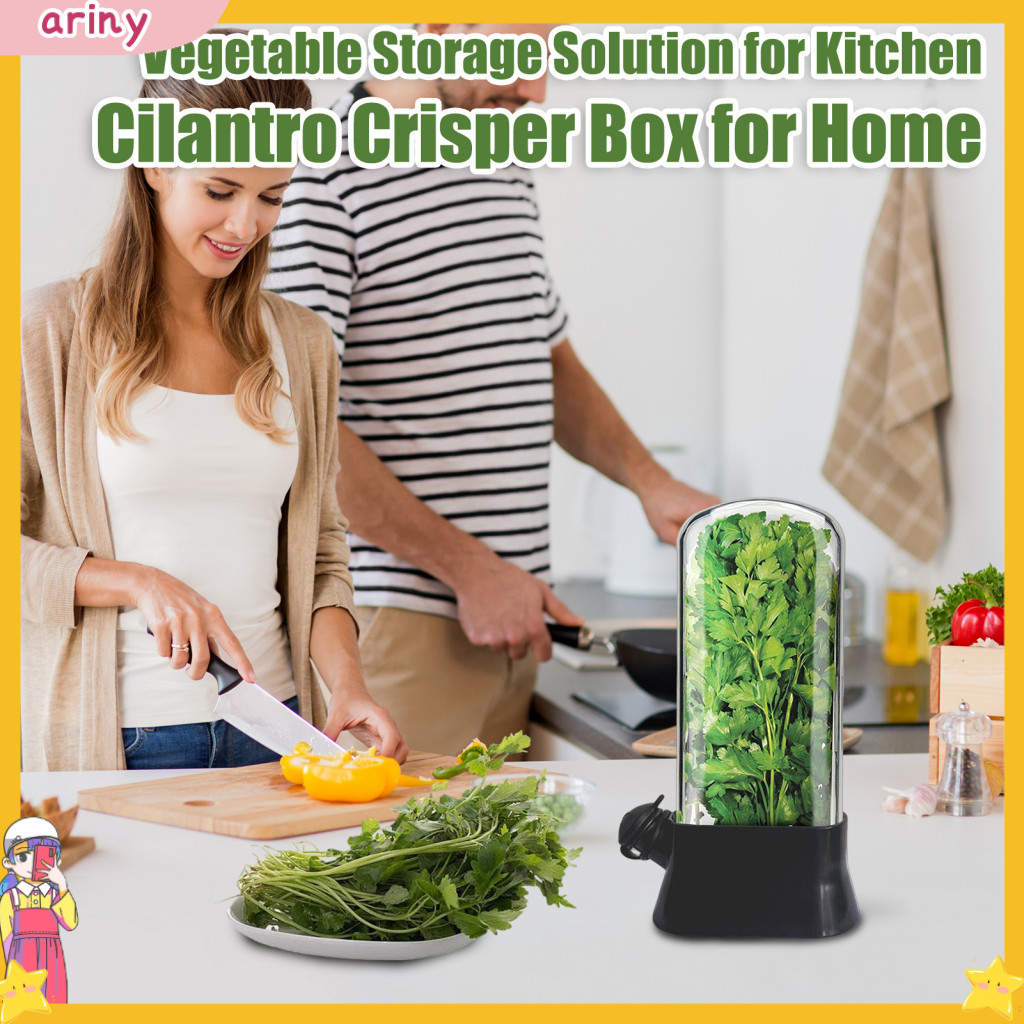 ARI Freshness Herb Keeper for Cilantro Fresh Herb Keeper for ...