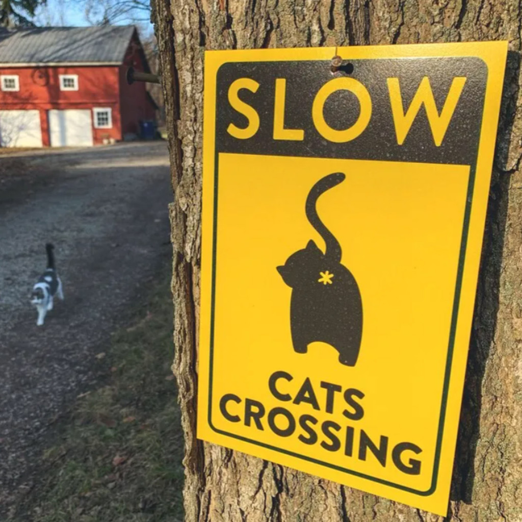SPE- Slow Down Sign Cats Crossing Sign Metal Warning Sign with Cat Butt ...