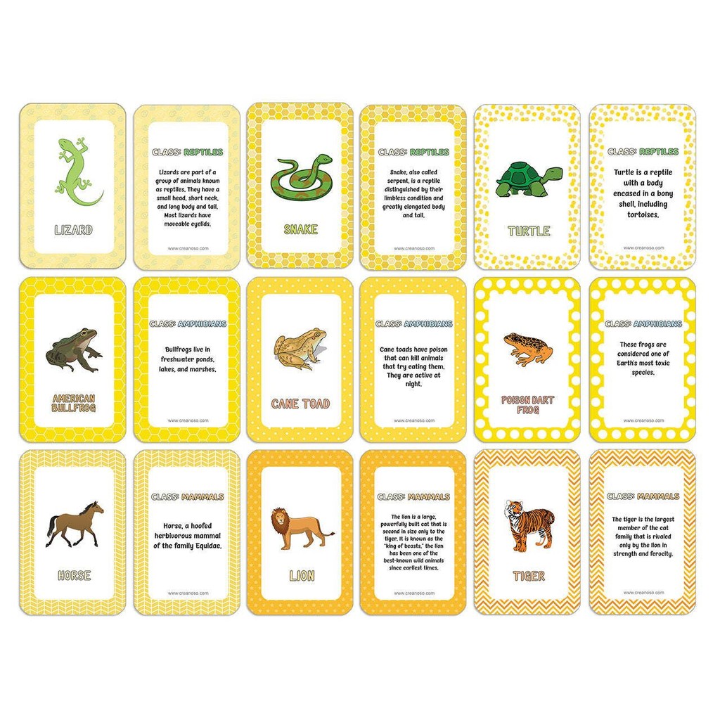 Reptiles, Amphibians and Mammals Learning Cards ( 1 -Deck ) | Shopee ...