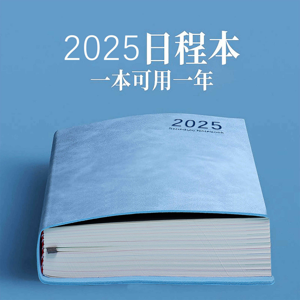 Hot Selling Plan Schedule Book 2025 Daily Plan Book 365 Days Calendar ...