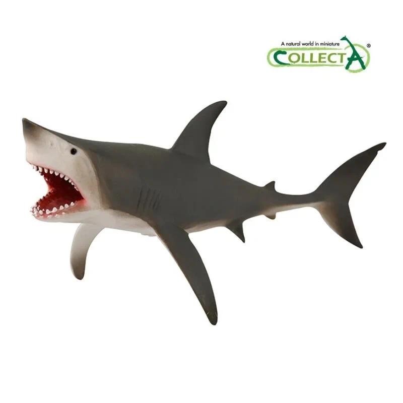 CollectA Toy Great White Shark Jaws Marine Animals Ferocious Beast ...