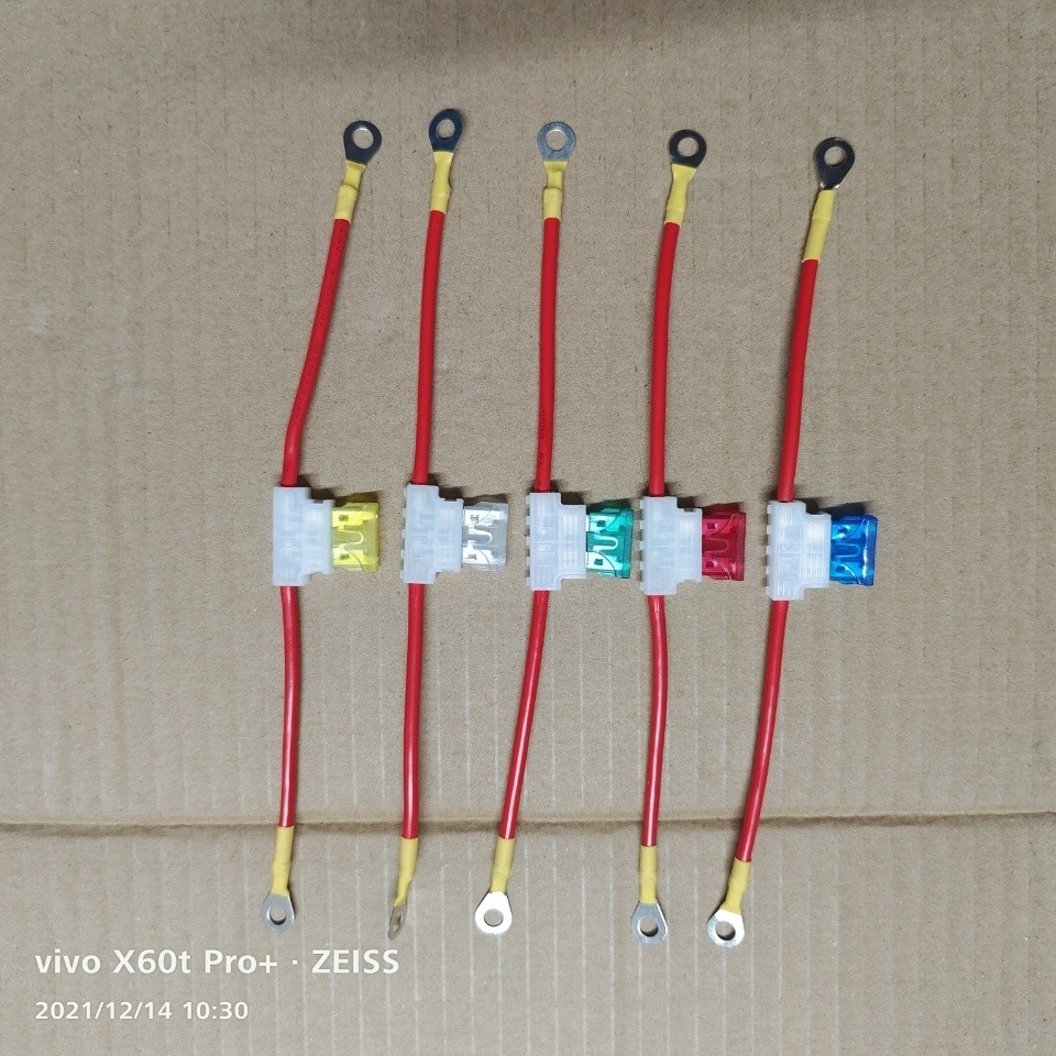 Electric Vehicle Fuse 30A Fuse Socket Base Three-Wheel Battery Car Fuse ...