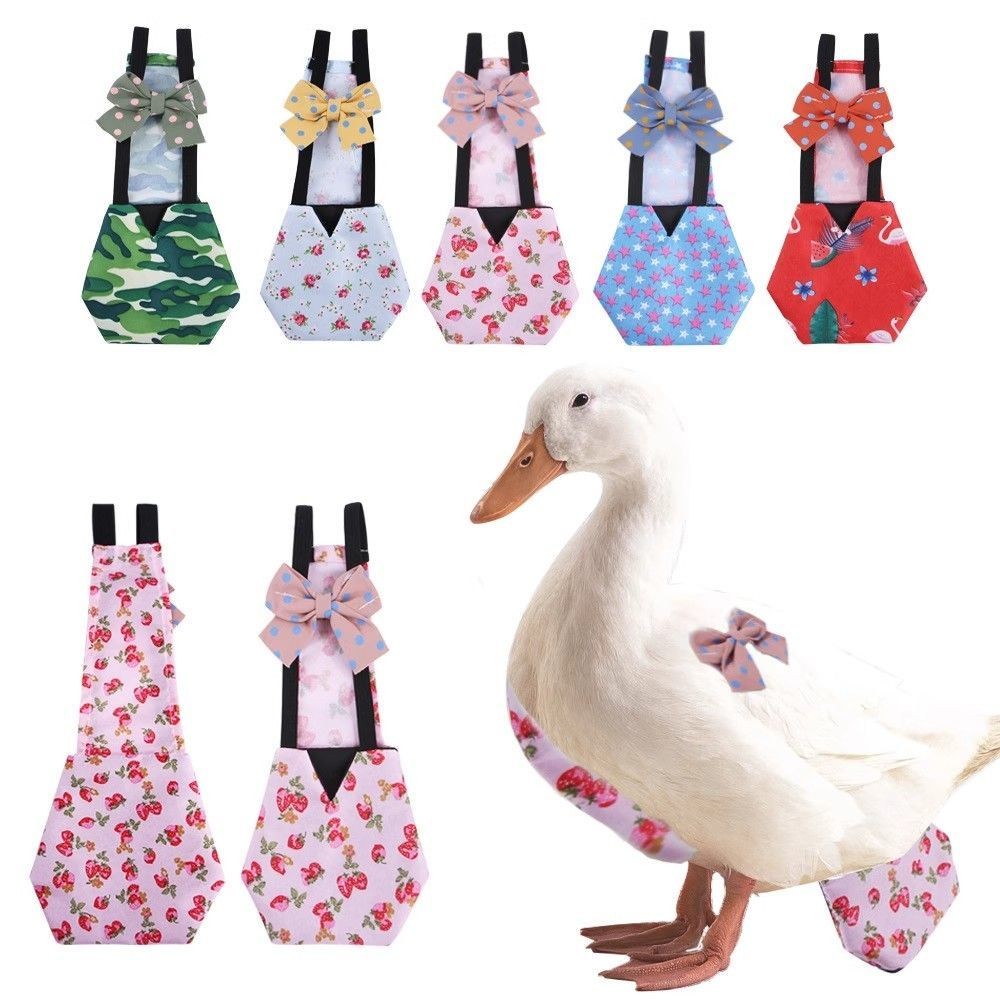 Luding Chicken Dung Pocket Diapers Keer Duck Diapers Pigeon Parrot ...