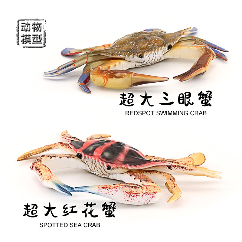 Marine Animal Model Children's Toy Oversized Shuttle Crab Safflower ...