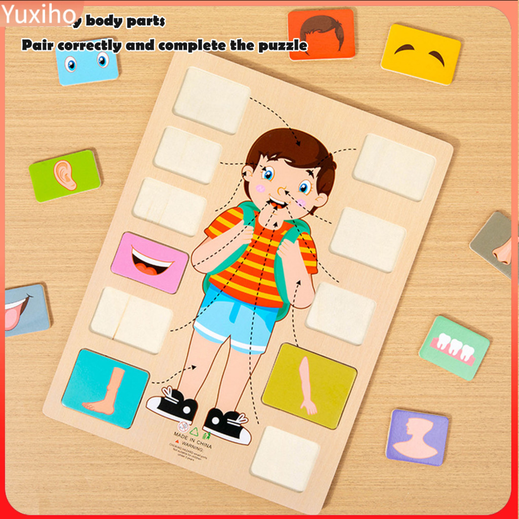 Yuxihon| Anatomy Puzzle Board Wooden Body Puzzle Wooden Body Puzzle ...