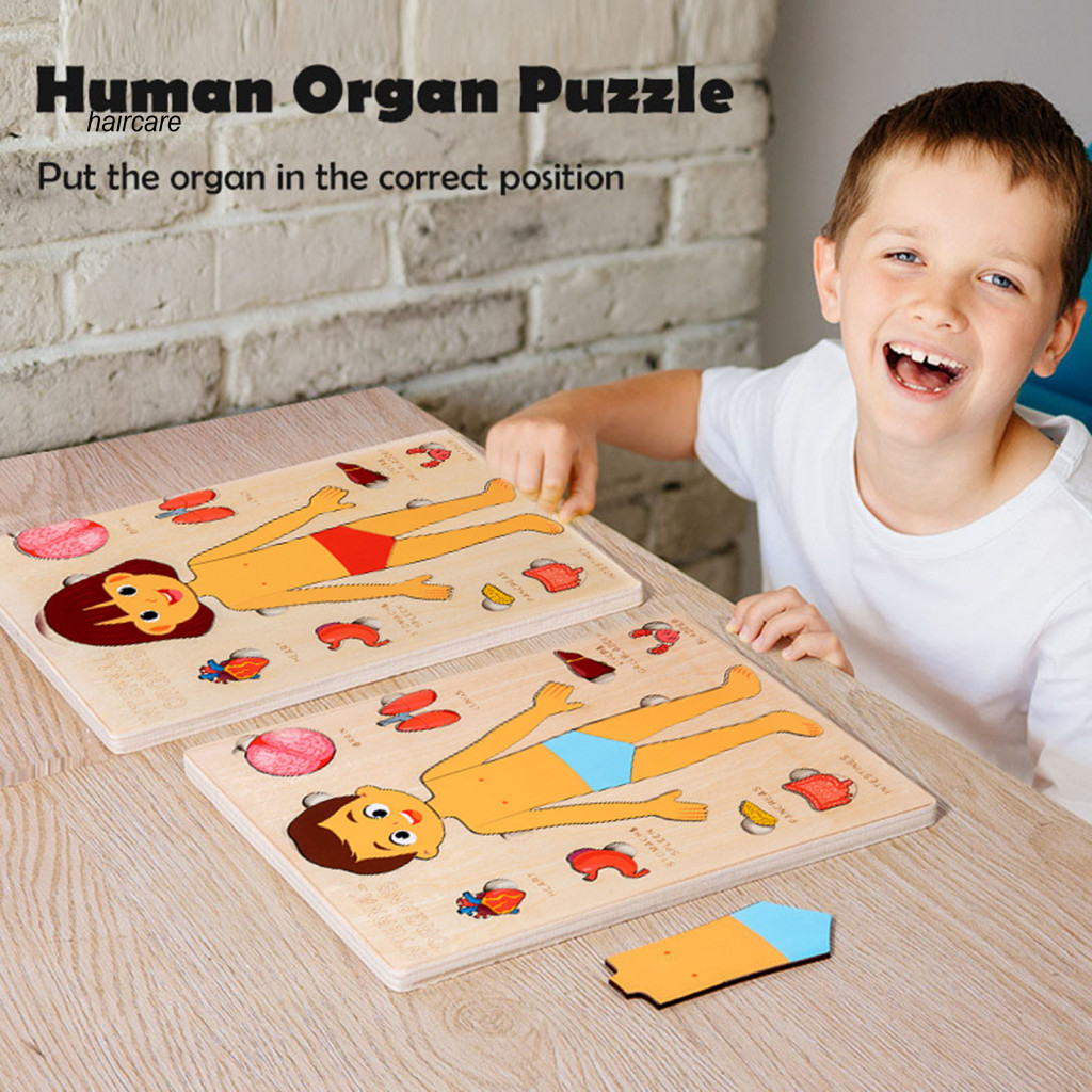 Haircare Anatomy Learning Puzzle Wooden Body Puzzle Wooden Body Puzzle ...
