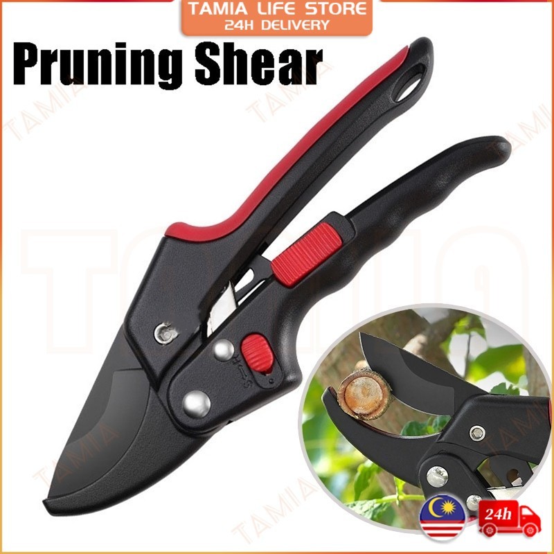 Branch Pruning Tree Cutter Shears Rambutan Gunting Pokok Bunga Pemotong ...