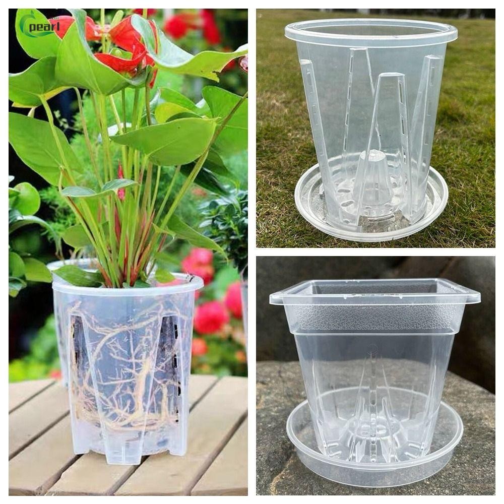 PEARL Transparent Flower Pot, Plastic Phalaenopsis Orchid Potted, Round ...