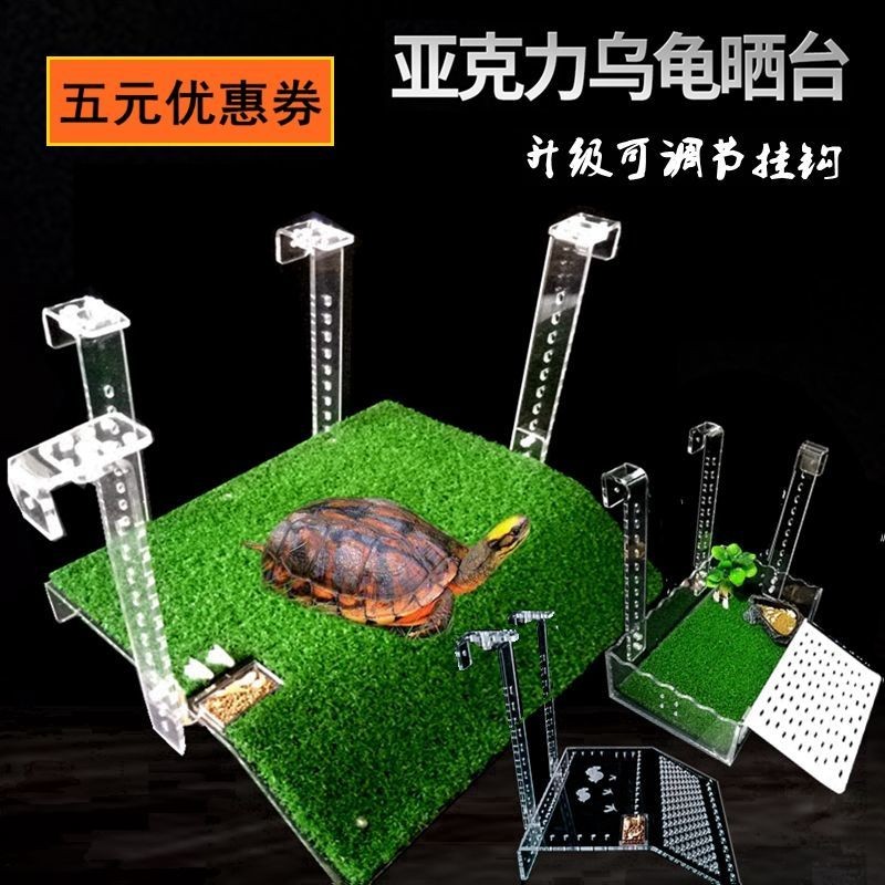 [3542 People Praise] Wall-Mounted Acrylic Turtle Terrace Brazilian ...