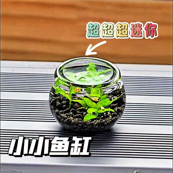 aquarium Tangki Ikan Mini Landskap Model Miniatur Baru Mini Balabala ...