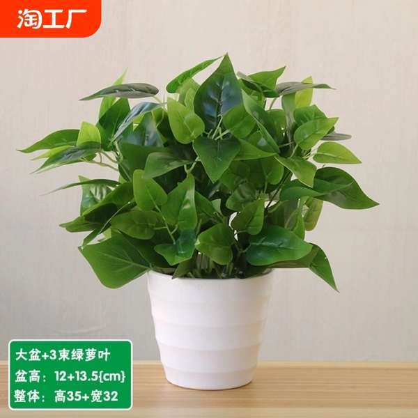 pokok hiasan dalam rumah bunga hiasan Daun pothos tiruan, bunga palsu ...