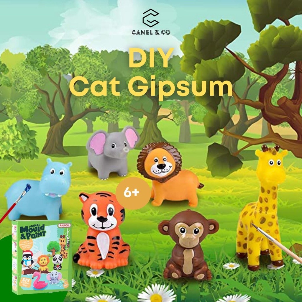 DIY Plaster Model Painting Kit - Gypsum Painting Plaster Moulding STEM ...