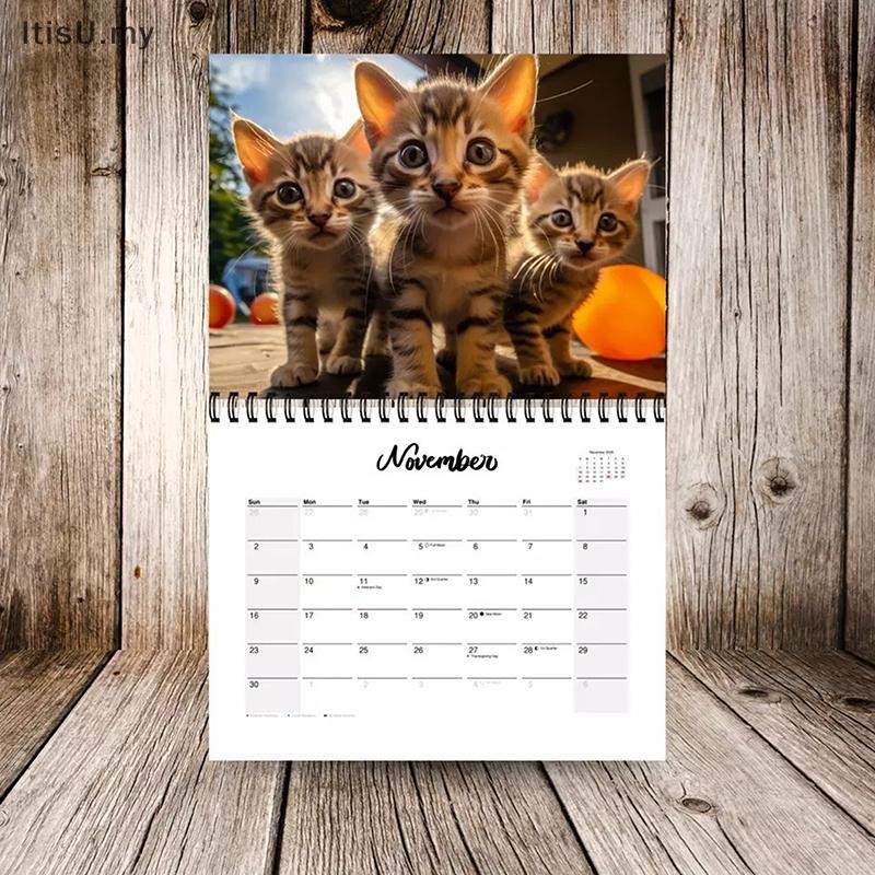 [ItisU] 2025 For Cat Lovers Funny Cat Calendar Cat Calendar Monthly ...
