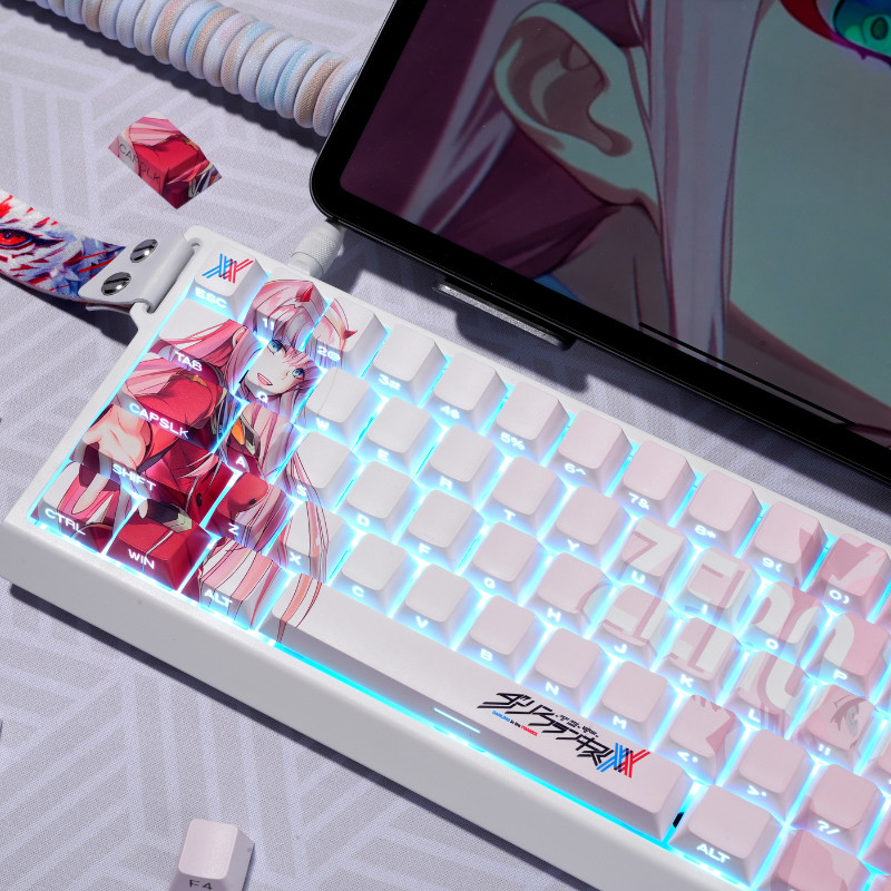 Animation Anime Keycap Side Print Shine Through Cherry Profile PBT ...