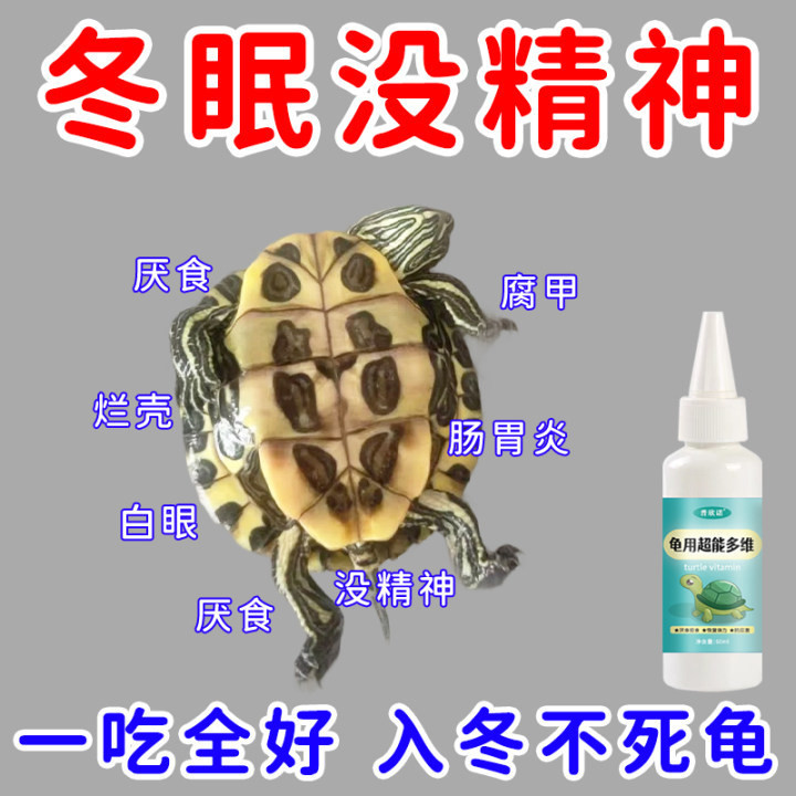 Turtles Use Electrolyzed Multi-Dimensional Anorexic Refuse Eating ...