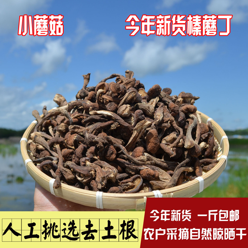 Tahun ini baru cendawan hazel liar 500g percuma penghantaran barang ...