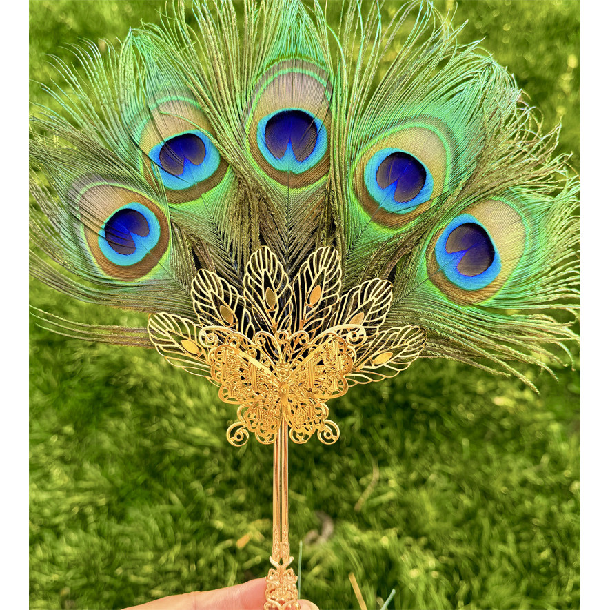 Sgsellert Peacock Feather Fan Handheld Fan Small Feather Fan Shooting ...