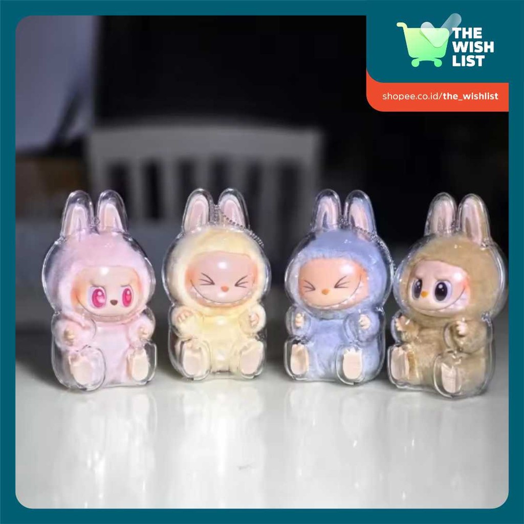 Ready Labubu Acrylic Hard Case Protective Labubu V2 Acrylic Protective ...