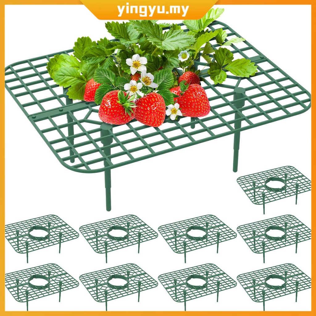 10Pcs Strawberry Planting Support Rectangular Strawberry Growing Racks ...