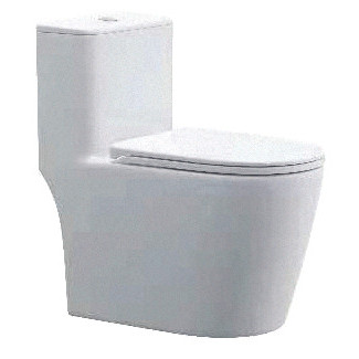 Saniware One Piece WC Toilet Bowl S-Trap Wash Down Water Closet 10 Inch ...