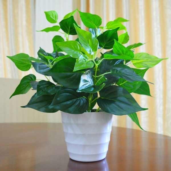 pokok hiasan dalam rumah office desk decoration Pothos tiruan pasu ...
