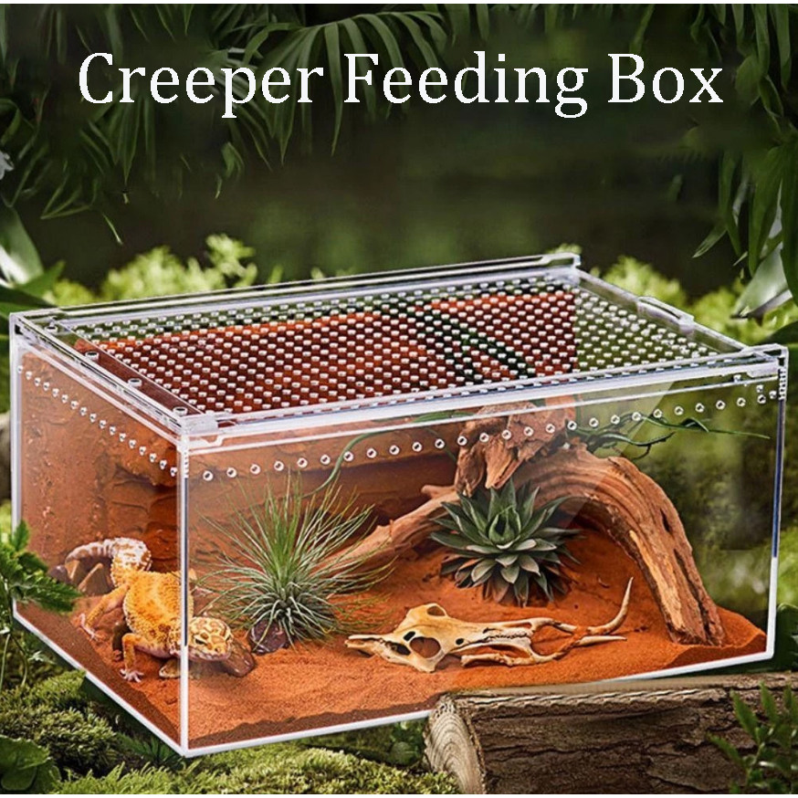Reptile Breeding Box Acrylic Display Box Reptile Terrarium Reptile ...