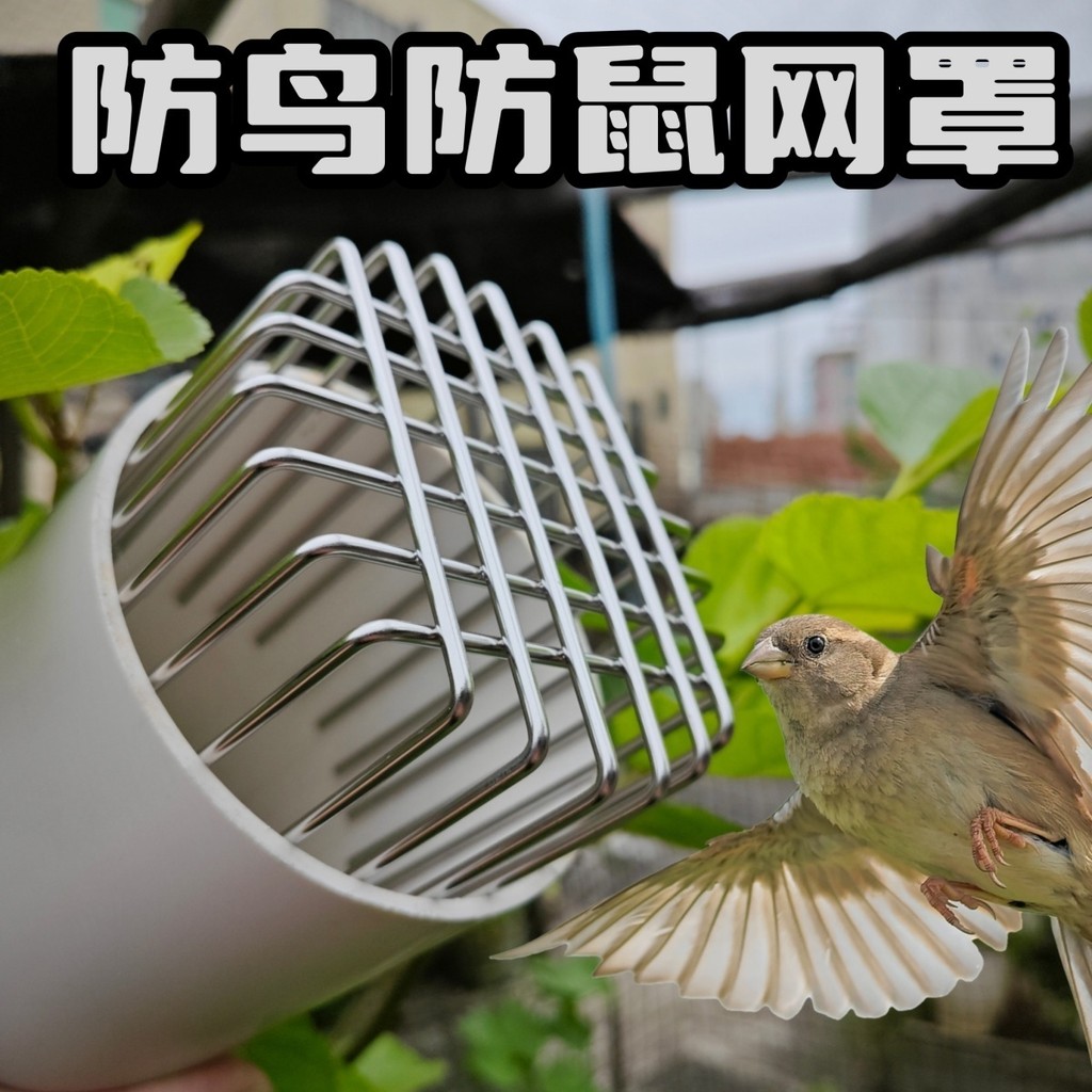 304 Anti-Bird Net Cover Bathroom Exhaust Pipe Vent Oil Vent PVC Sewer ...