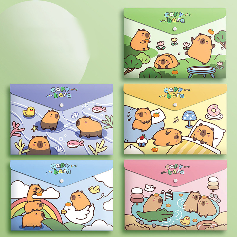 QwQ 5Pcs Large Capacity Cartoon Capybara A4 File Folder Test Paper ...