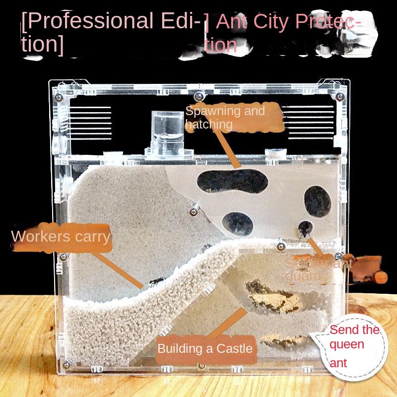 Spot goods ant nest ant house pet gate Ant Castle Pet Ant Sand Castle ...