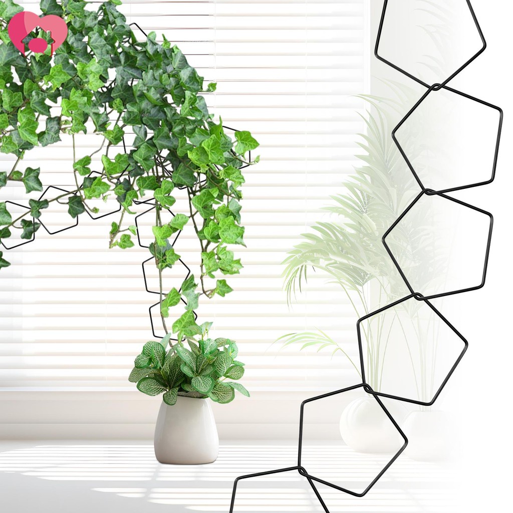 20Pcs Pothos Climb Trellis Pentagram Shape Vines Climbing Trellis ...