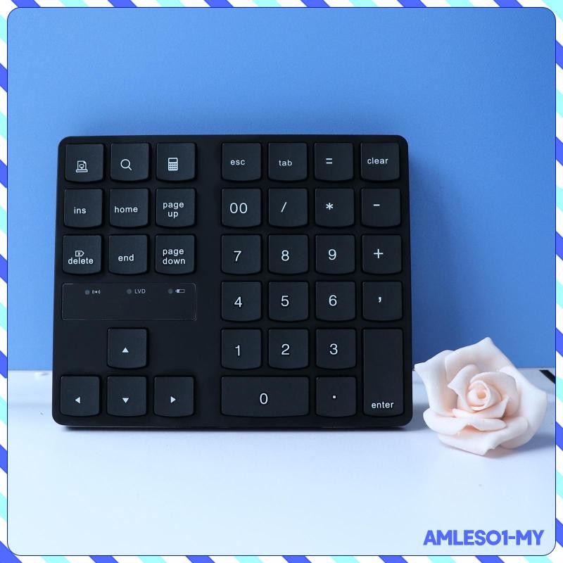[AmlesoaeMY] Keyboard Number Pad Financial 10 Portable Accounting etc ...