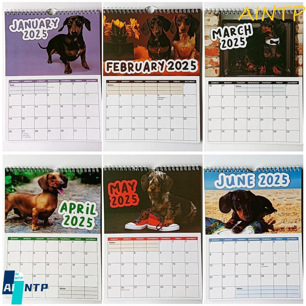 AINTP 2025 Calendar, Hanging 12 Month Sausage Dog Themed Calendar, To ...